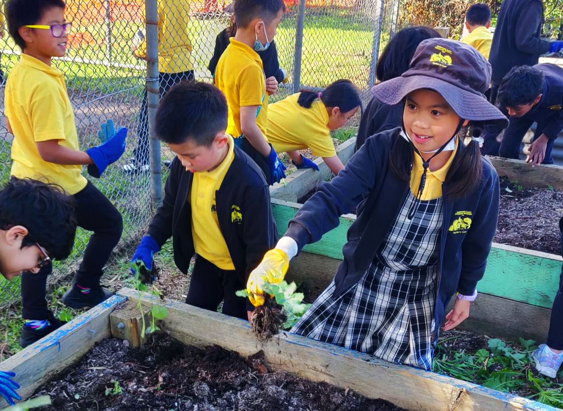 Precious Plastic Education – Precious Plastic Melbourne