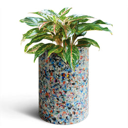 Recycled Riser 320mm – Precious Plastic Melbourne